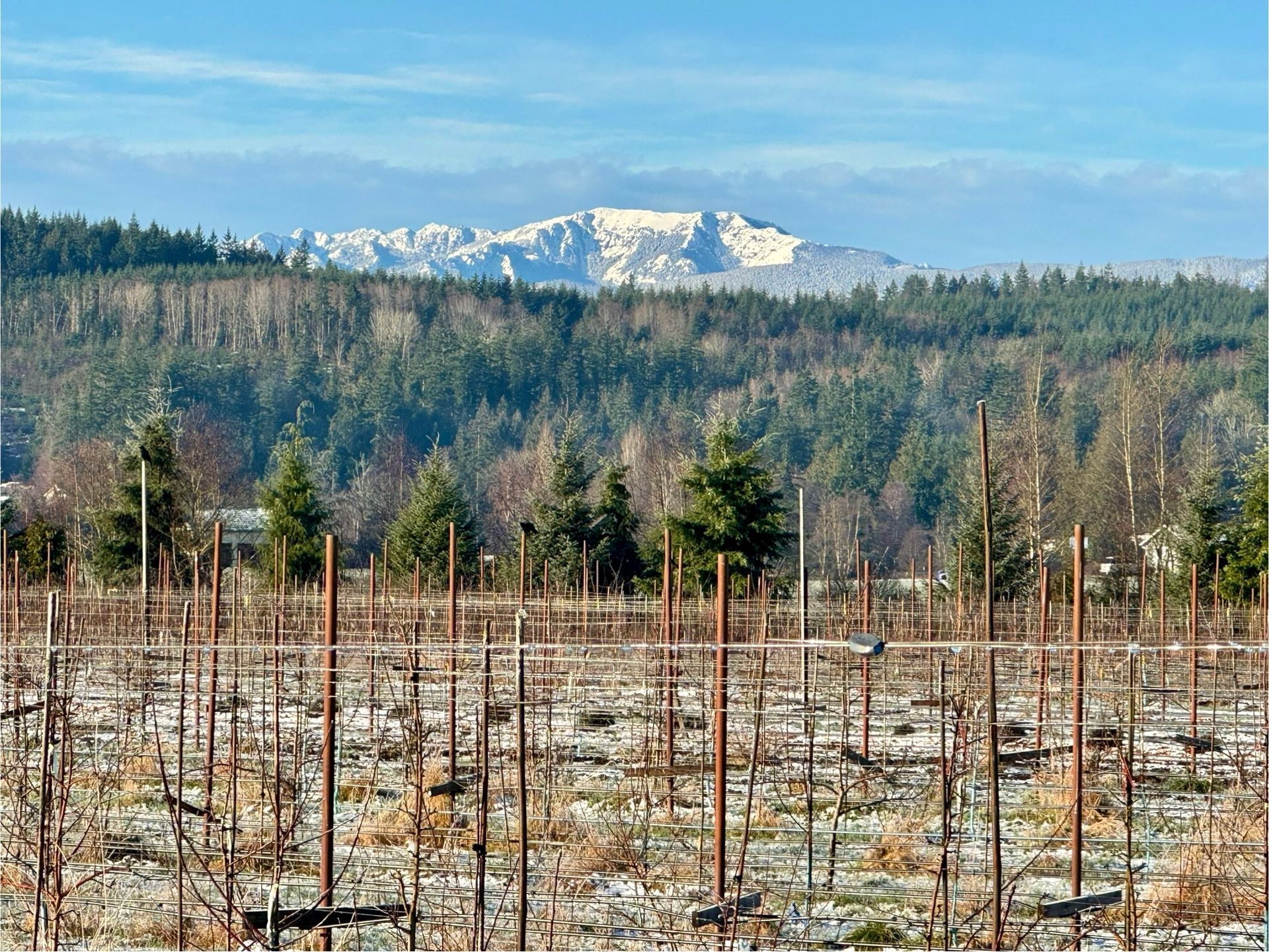 Finnriver Farm & Cidery: Serving the Land with Cider