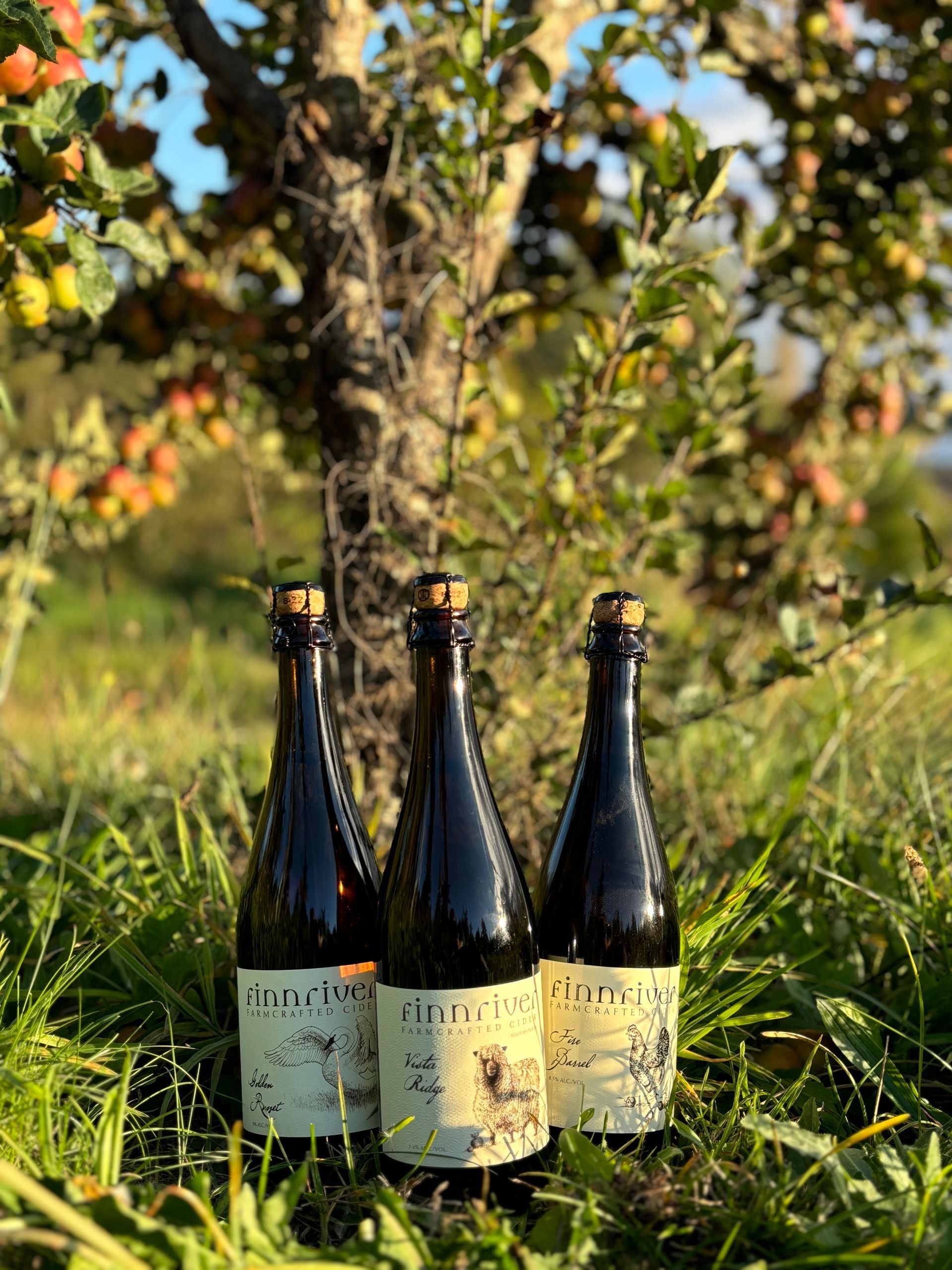 Finnriver Cider Gift Sets