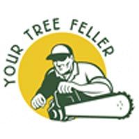 Tree Removal Ballina Byron Bay & Lismore | Your Tree Feller