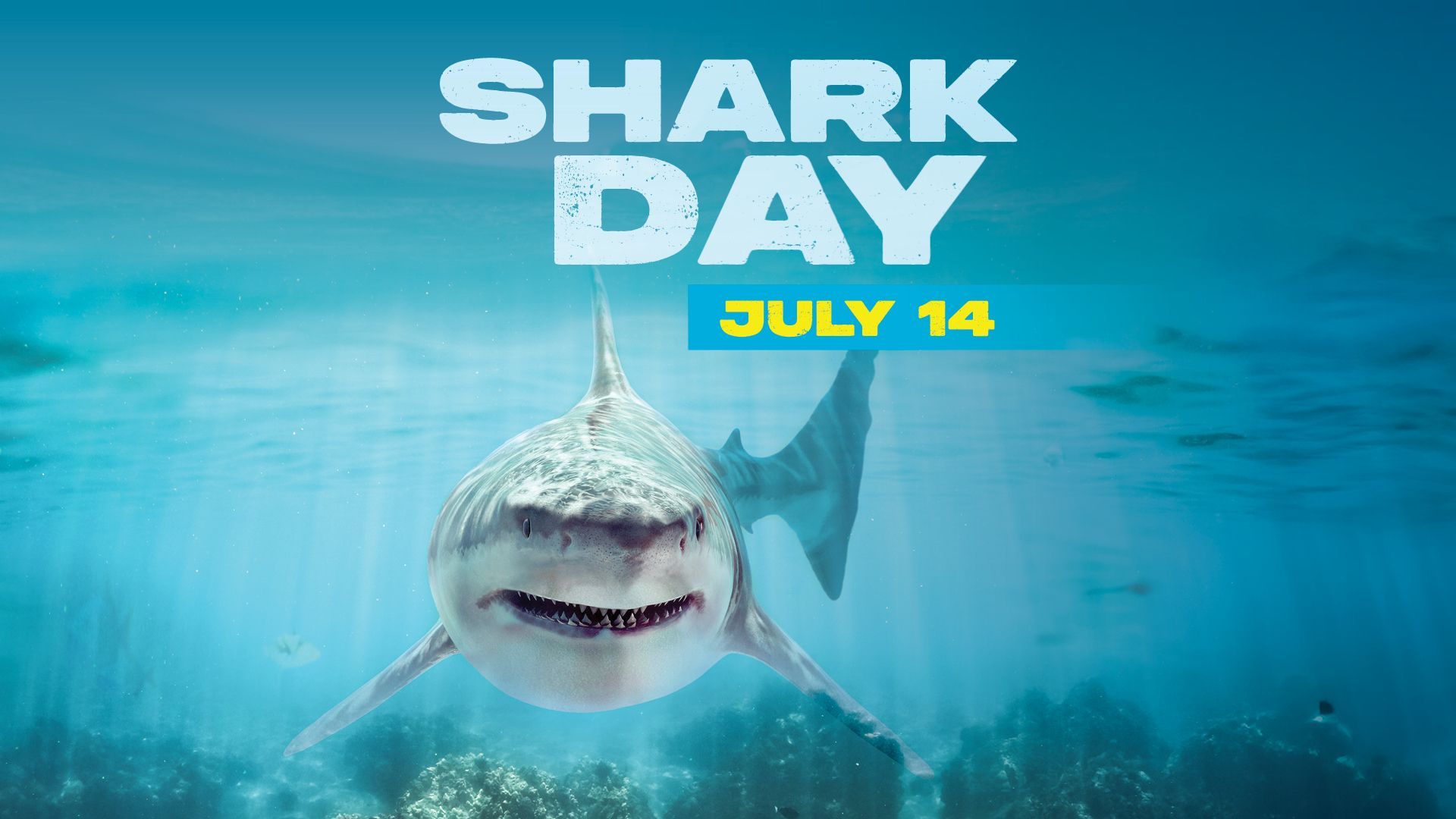 Home | Downtown Aquarium - Houston, TX