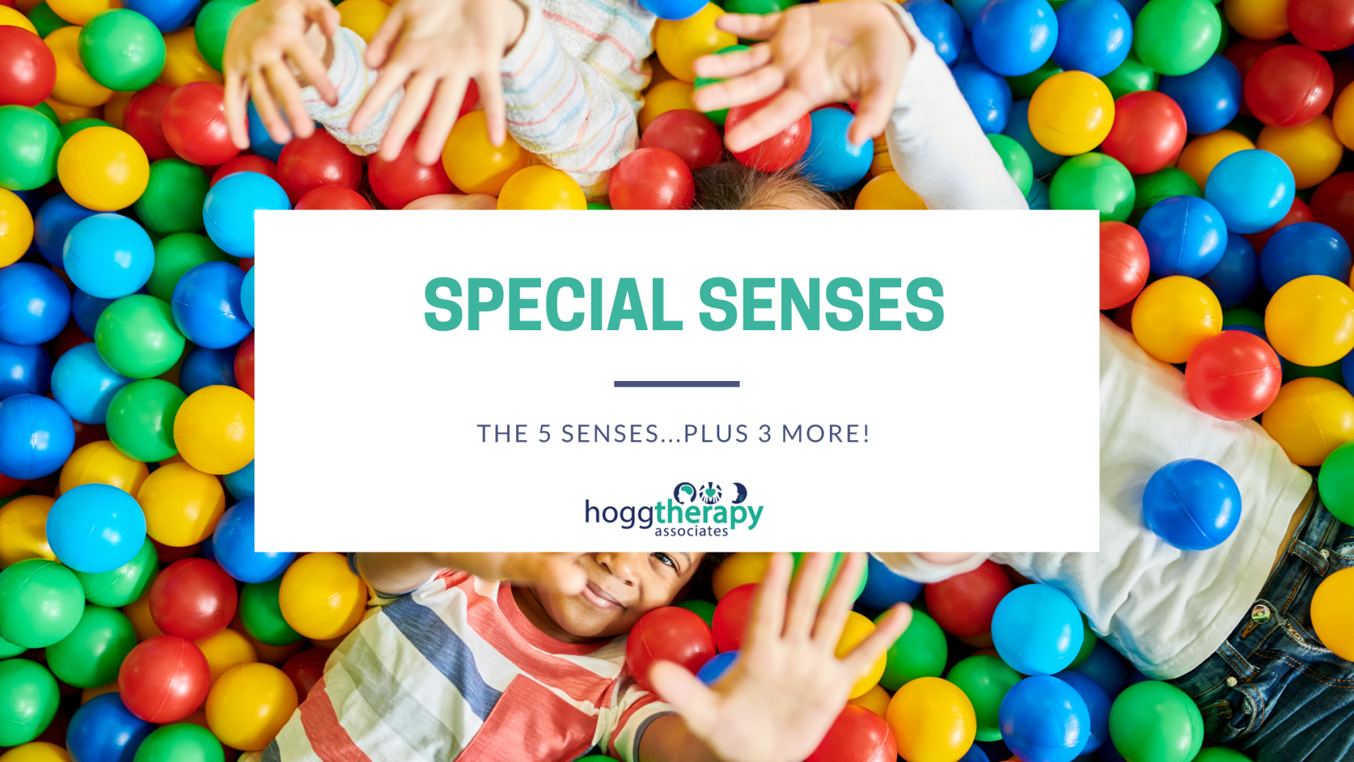 Special Senses: The 5 Senses + 3 More!