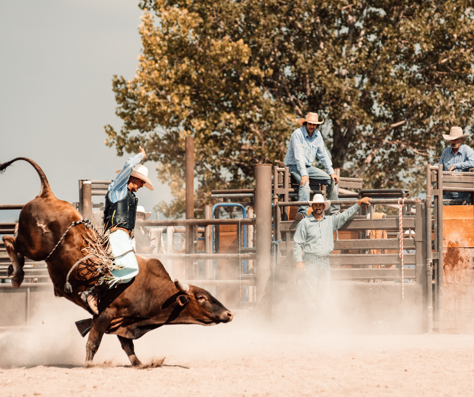 Local Events | Freestone Inn