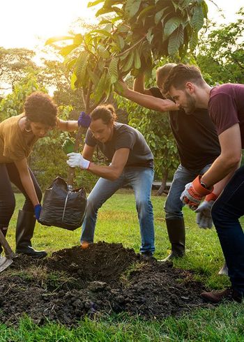 Tree Relocation | Jacksonville, FL | Southern Tree Farm