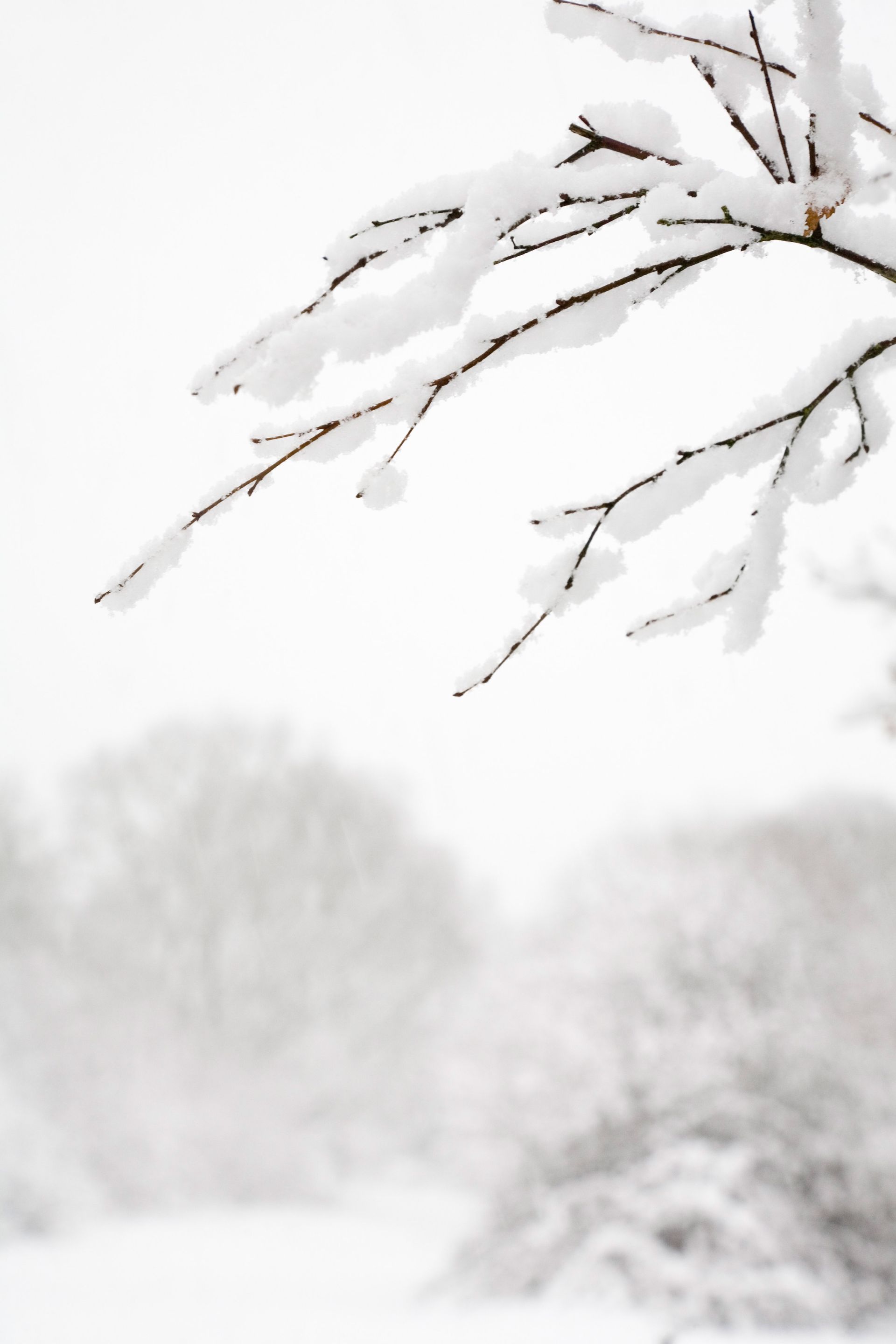 Frost Heave Damage | Straight Line Construction