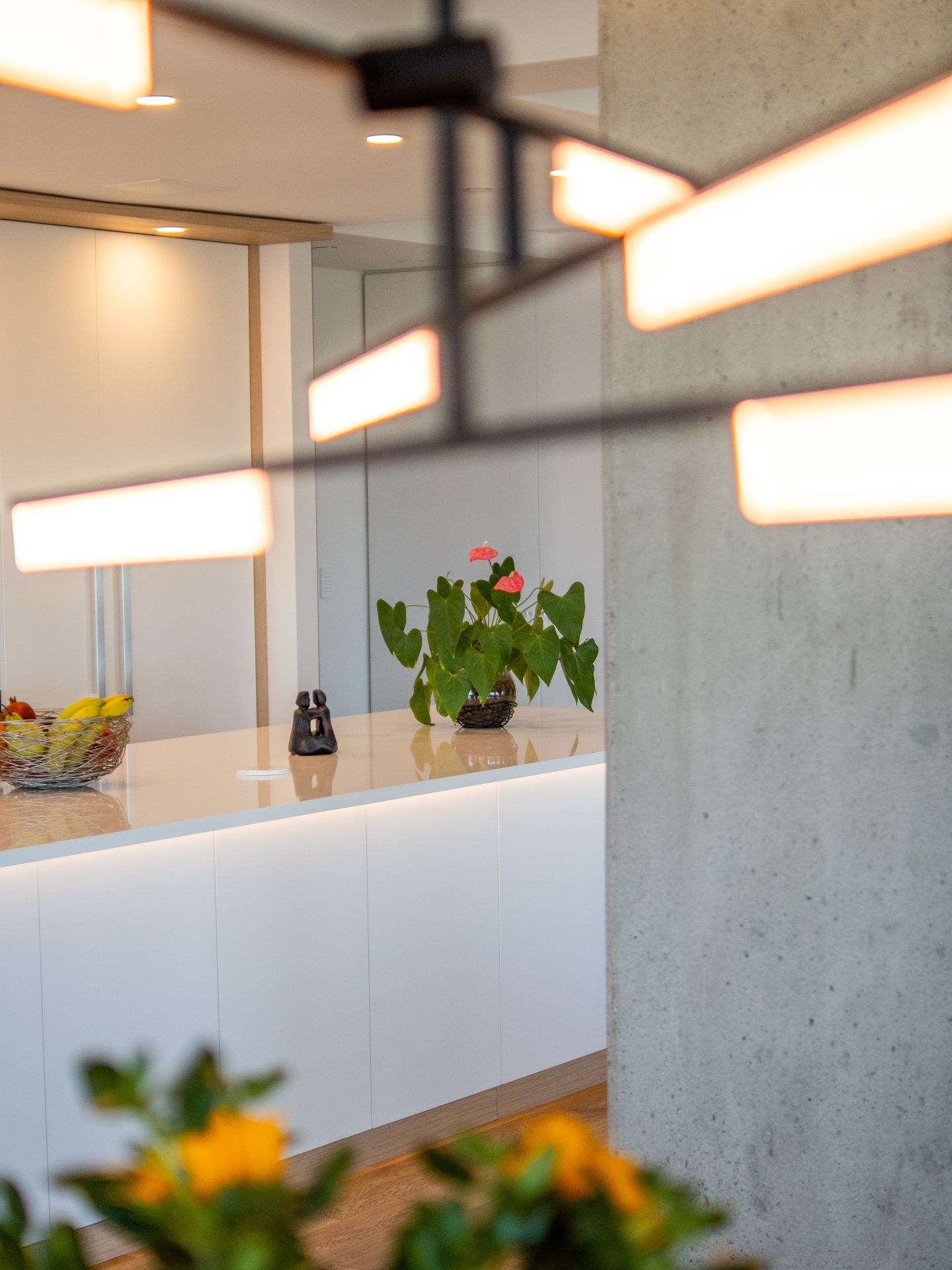 KITSILANO PENTHOUSE | Kitchen Renovation | Rodrozen Design + Build