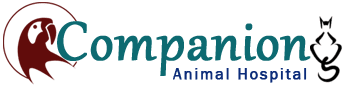 Animal Hospital, Pet Care | Denton, TX