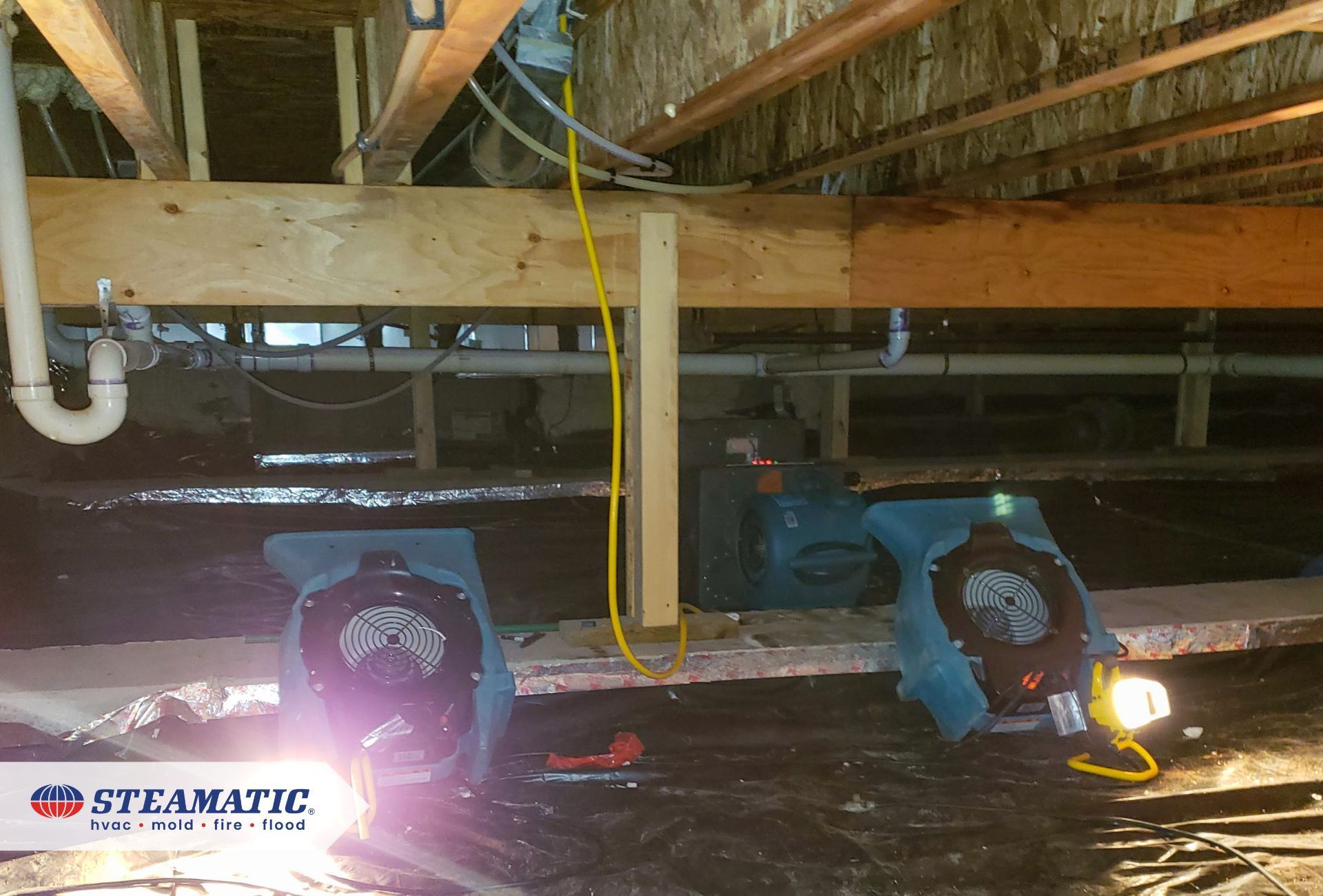 News and Insights from Steamatic of Connecticut