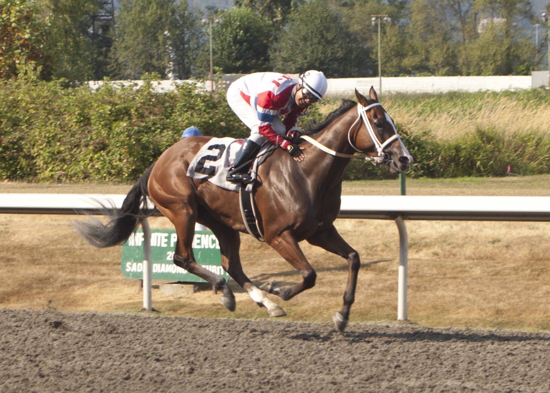 Canadian Thoroughbred Horse Society : British Columbia Division