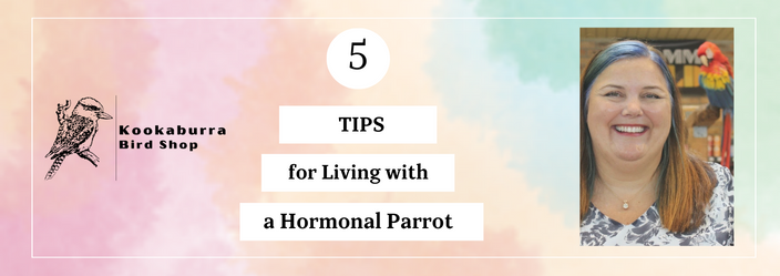Five Proven Tips for Living with a Hormonal Parrot