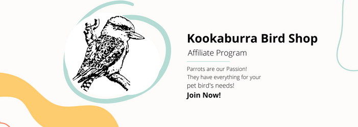 Join the Flock: Become an Affiliate of Kookaburra Bird Shop
