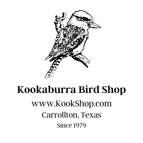 Birds for Adoption AKA Second-Hand Birds | Kookaburra Bird Shop, LLC ...