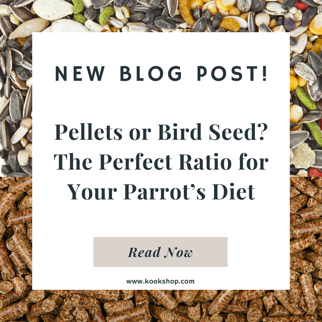 Pellets or Bird Seed? The Perfect Ratio for Your Parrot’s Diet.