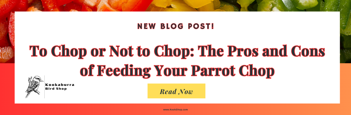 The Pros and Cons of Feeding Your Parrot Chop