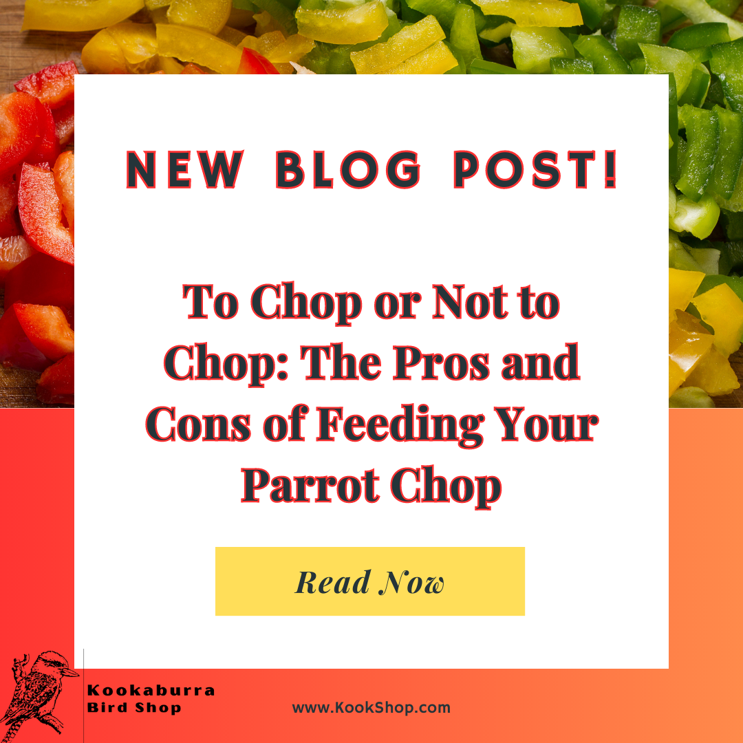 The Pros and Cons of Feeding Your Parrot Chop