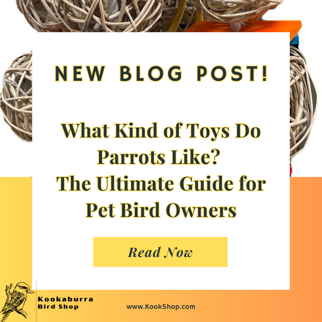 Home Page | Kookaburra Bird Shop, LLC | Michelle Beckley