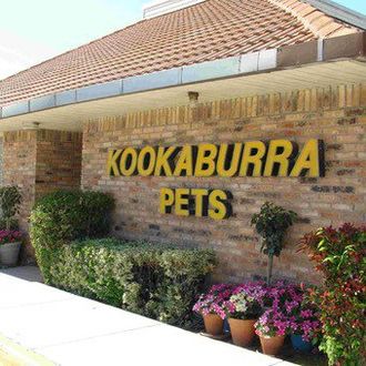 Home Page | Kookaburra Bird Shop, LLC | Michelle Beckley