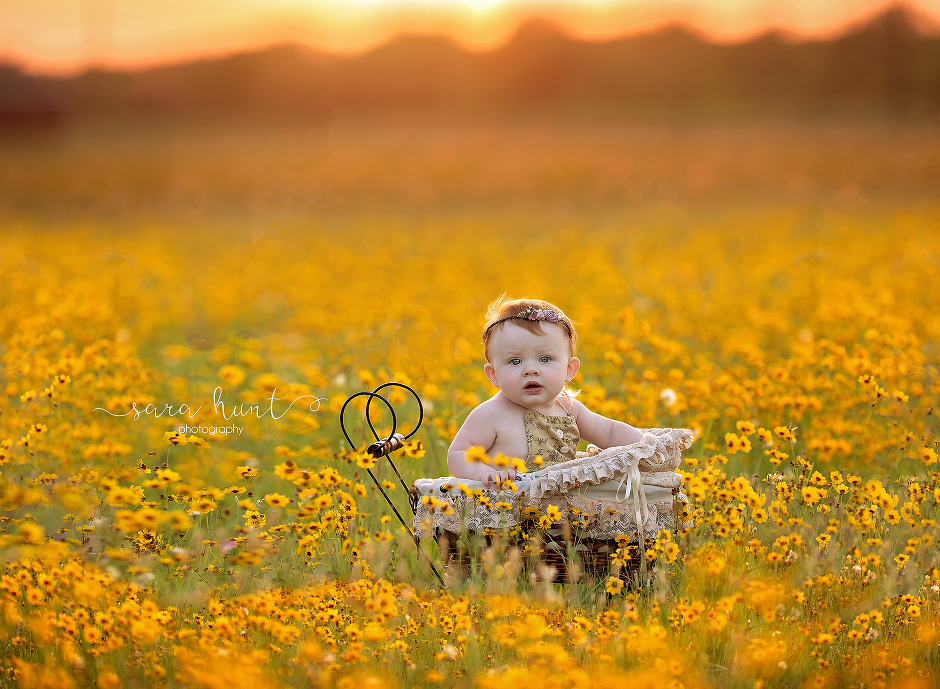 Flower Field | Houston Texas Child Baby Milestone Fine Art Photographer
