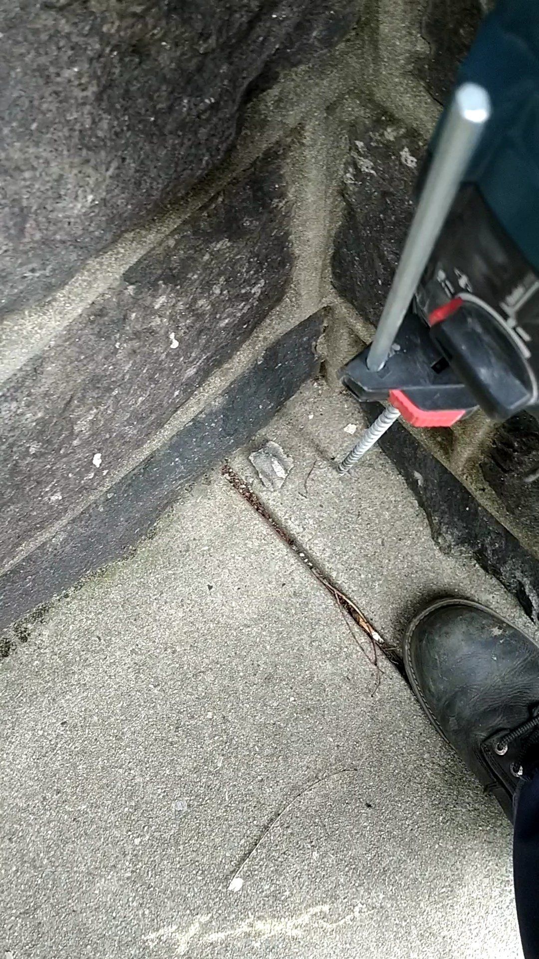 Kingdom Exterminating