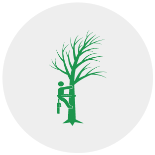 Lewis Tree Surgery York Ltd | York