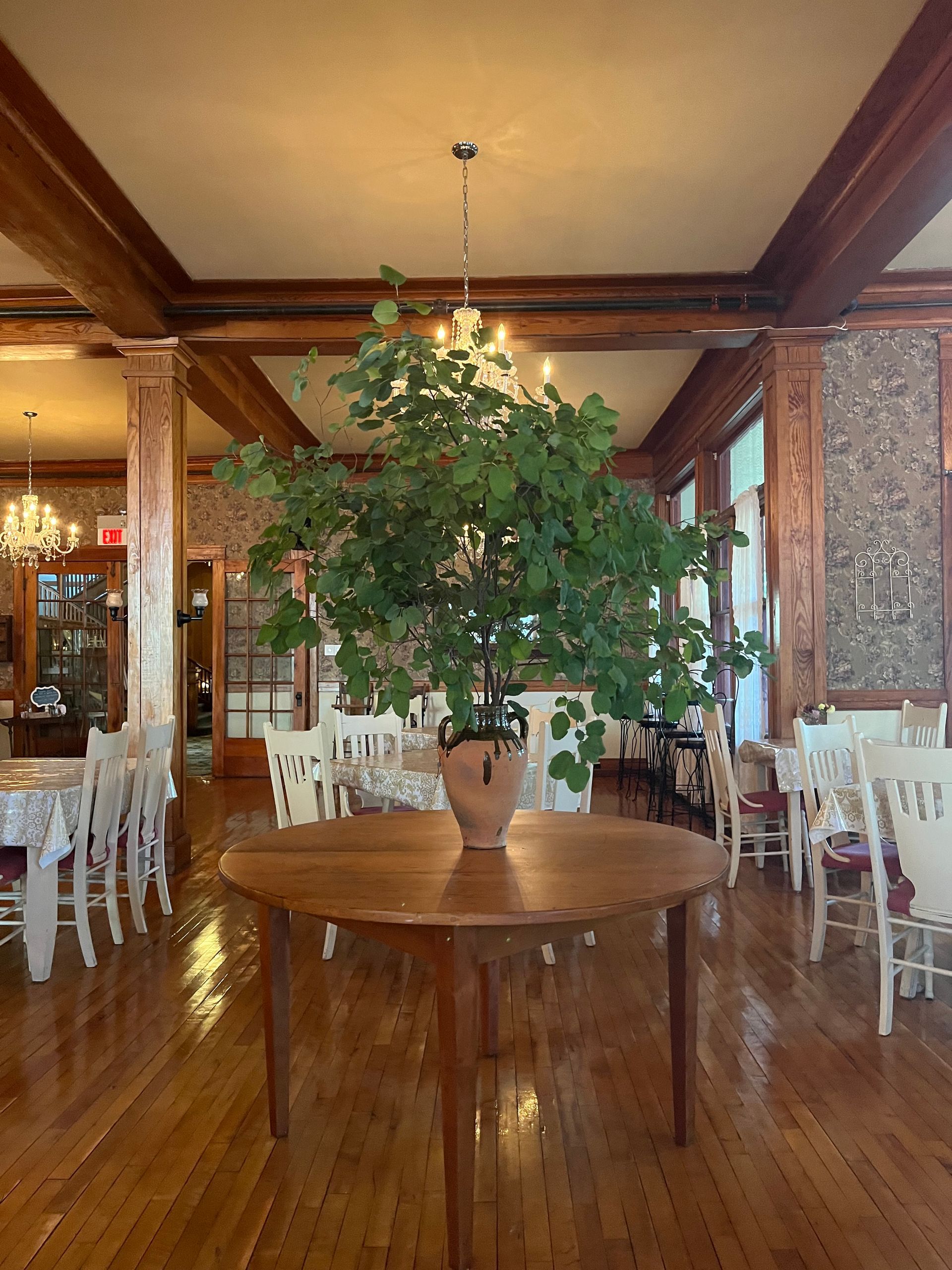 Our Gallery | The Terrace Inn