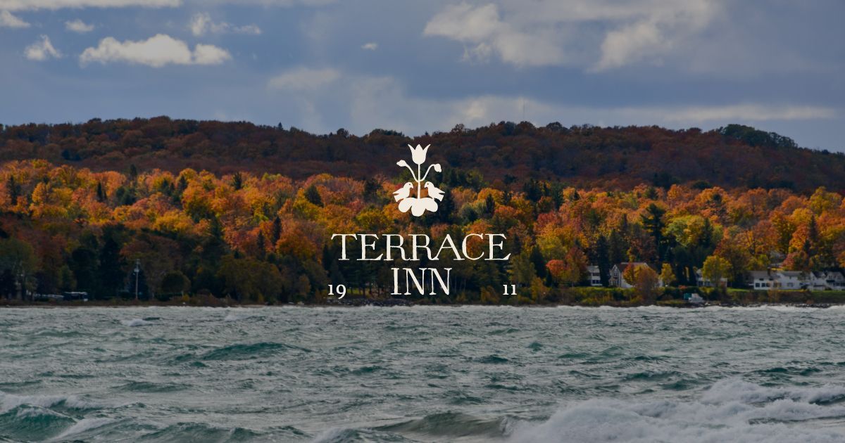 Home Page | The Terrace Inn