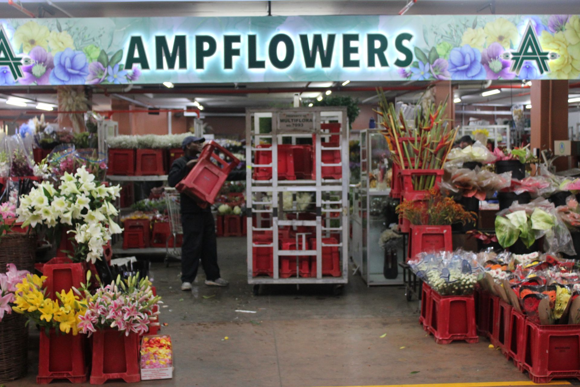 Online Flower Order: AMP Flowers | Multiflora Mall