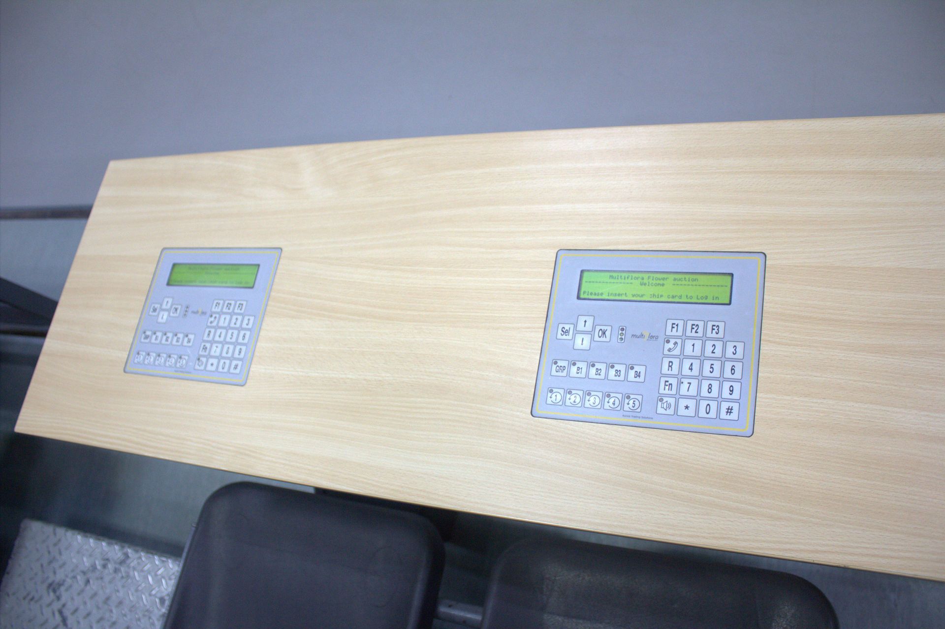 Auction | Multiflora Mall | Johannesburg