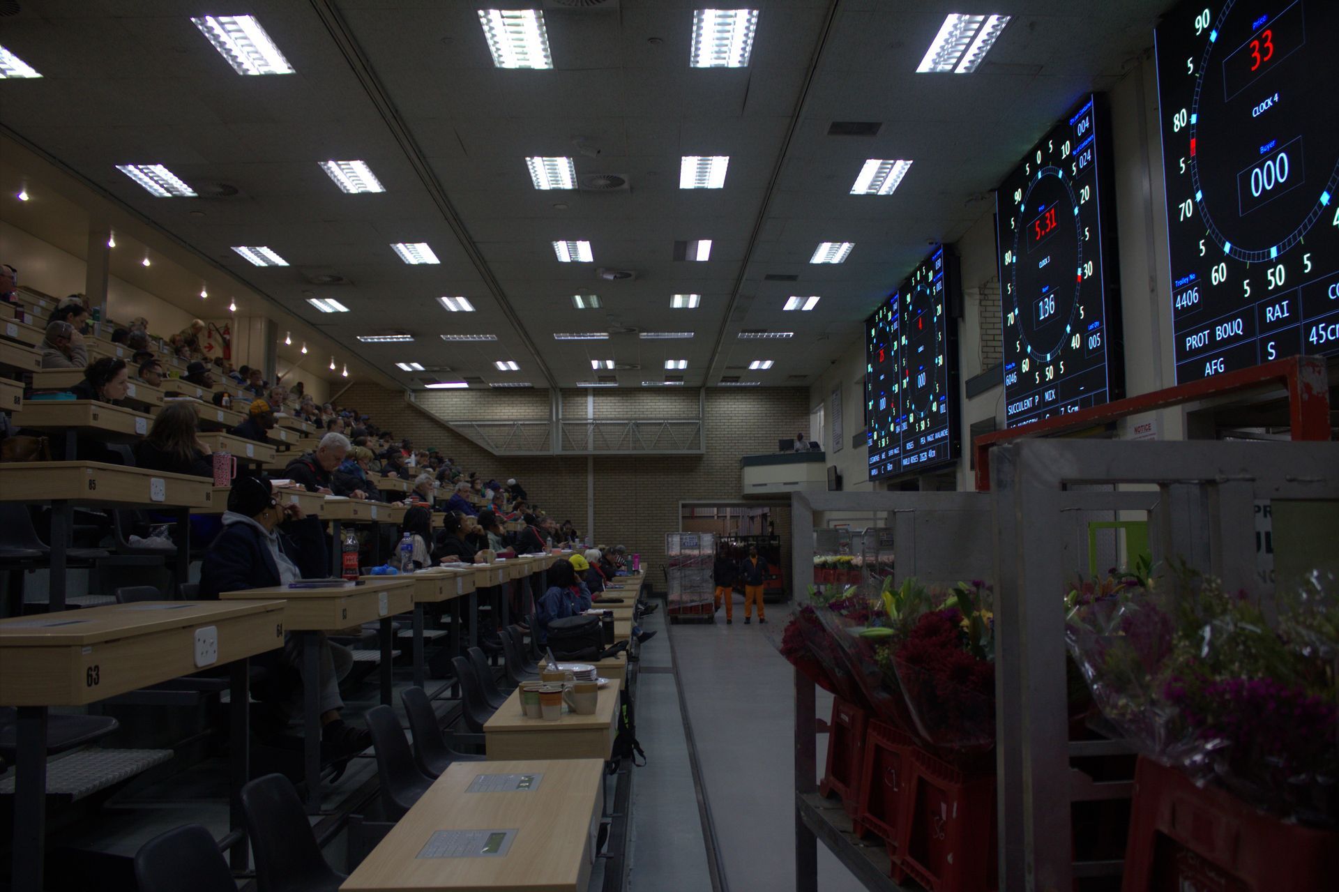 Auction | Multiflora Mall | Johannesburg