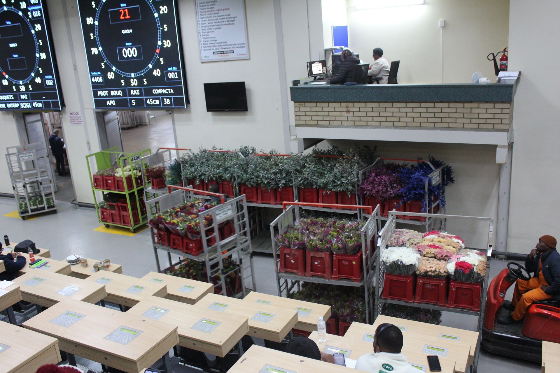 Flower Farmer | Join the Auction | Multiflora Mall