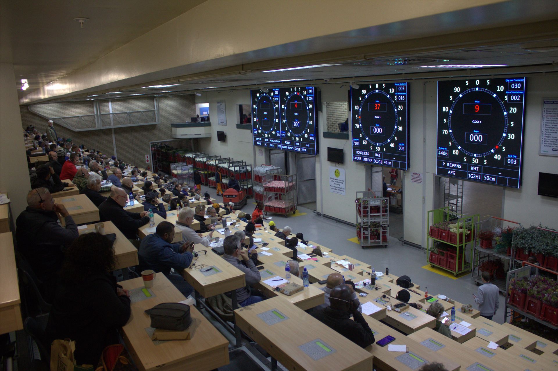 Auction | Multiflora Mall | Johannesburg