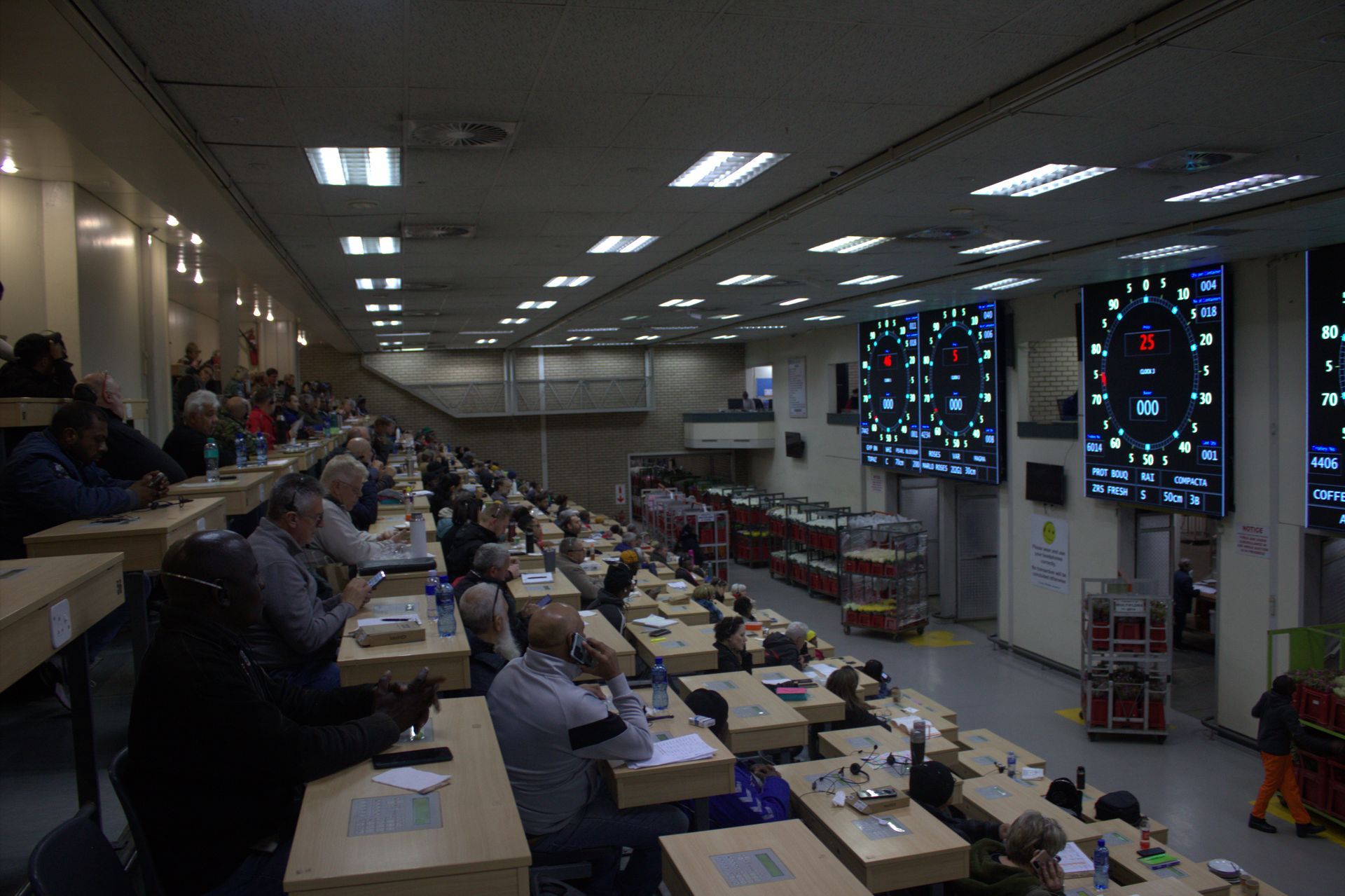 Auction | Multiflora Mall | Johannesburg