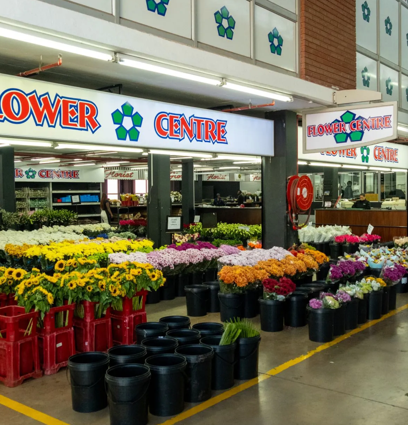 Flower Centre for Floral Arrangements | Multiflora