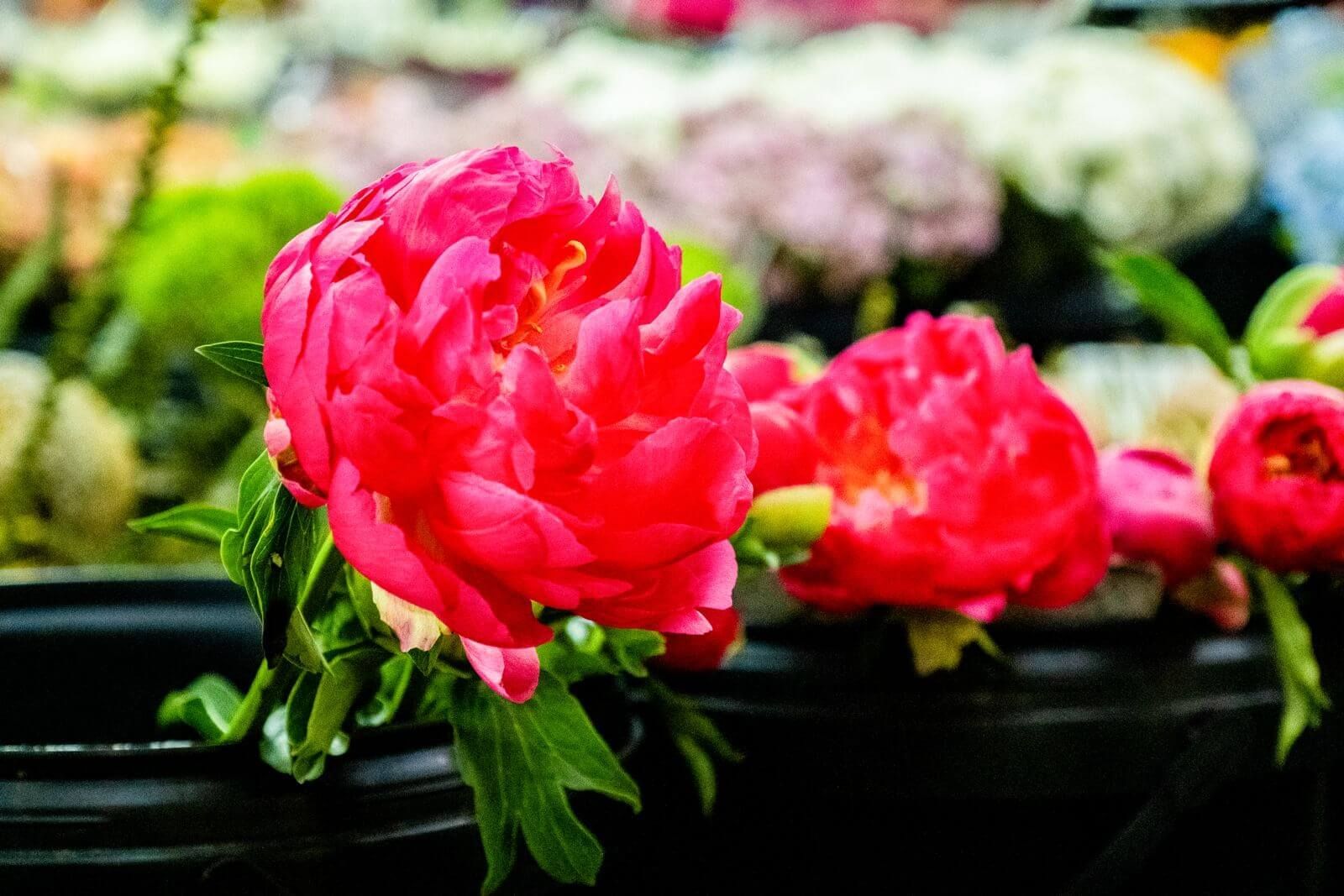 Online Flower Order Fresh Flowers Delivered Nationwide