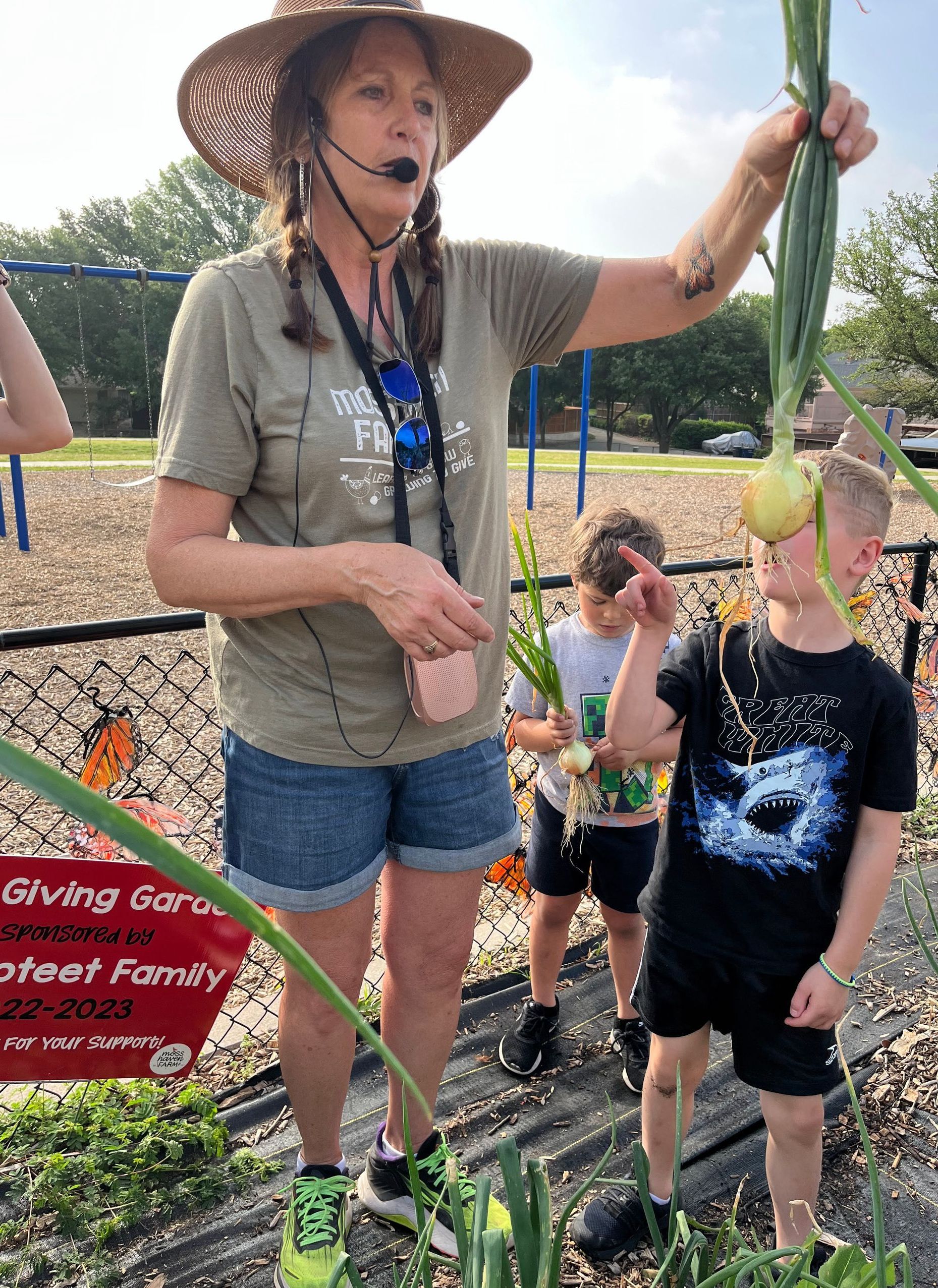 A Peep At The Coops | Moss Haven Farm