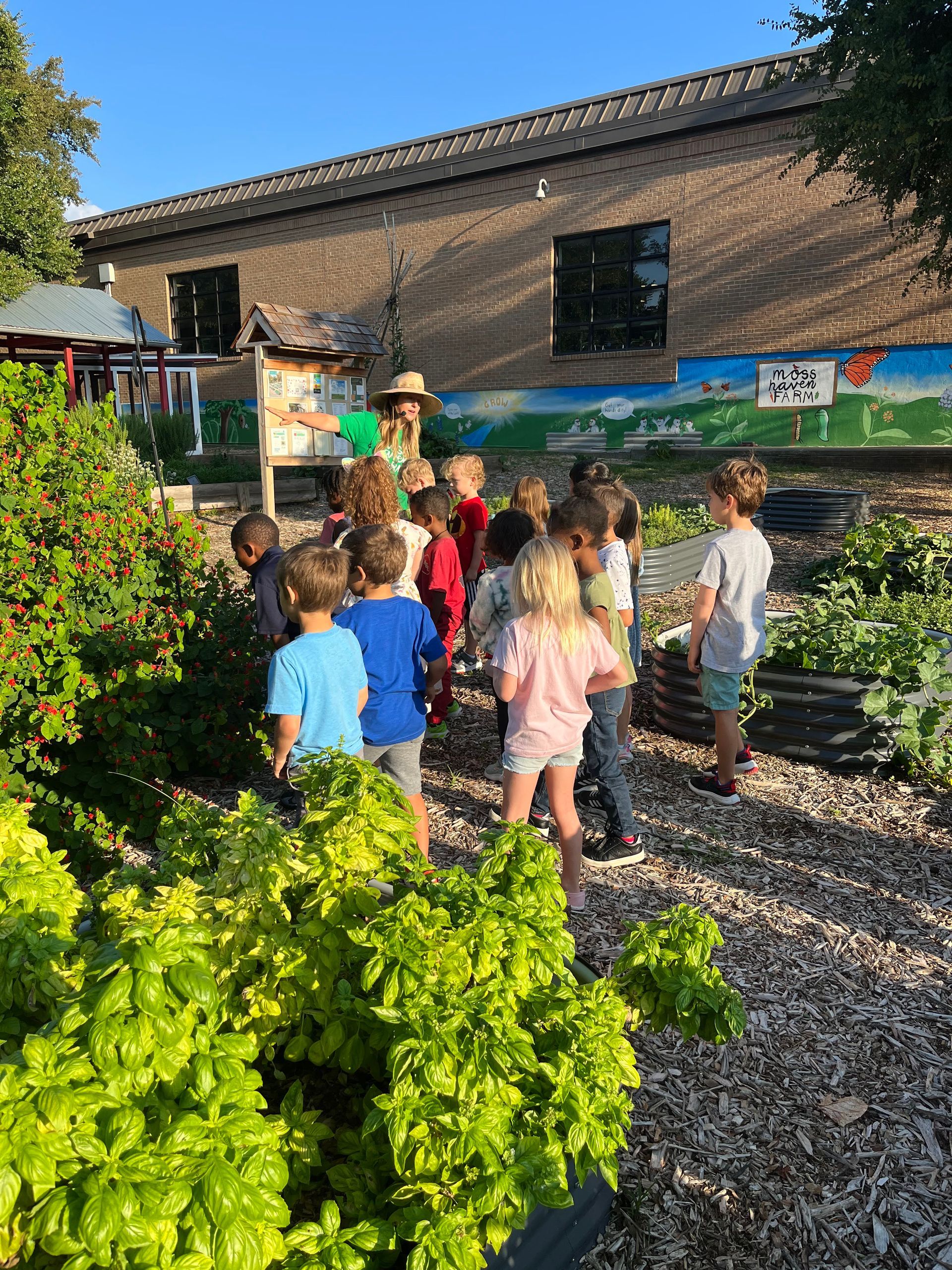 A Peep At The Coops | Moss Haven Farm