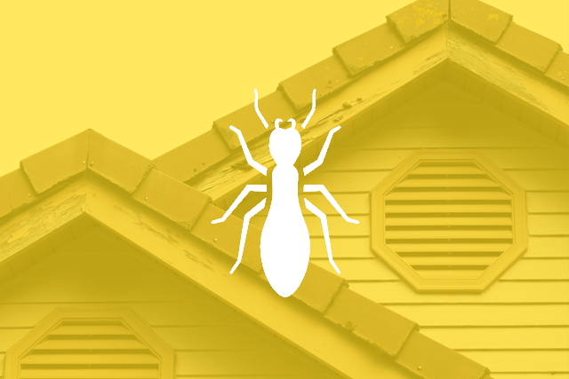 Pest Control Company | Aurora, IL | Leave Me Bee Pest