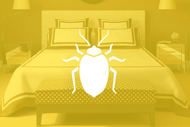 Pest Control Company | Aurora, IL | Leave Me Bee Pest