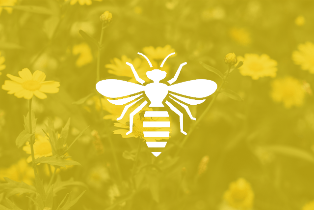 Pest Control Company | Aurora, IL | Leave Me Bee Pest