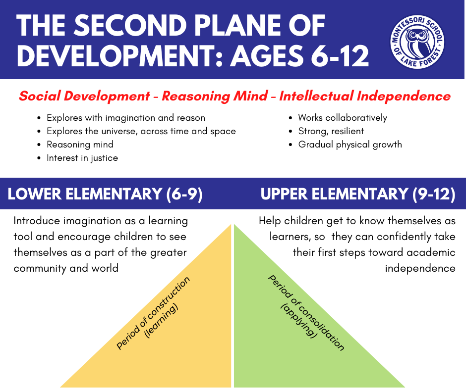 Technology @ MSLF: Vision, Plan & Guidelines