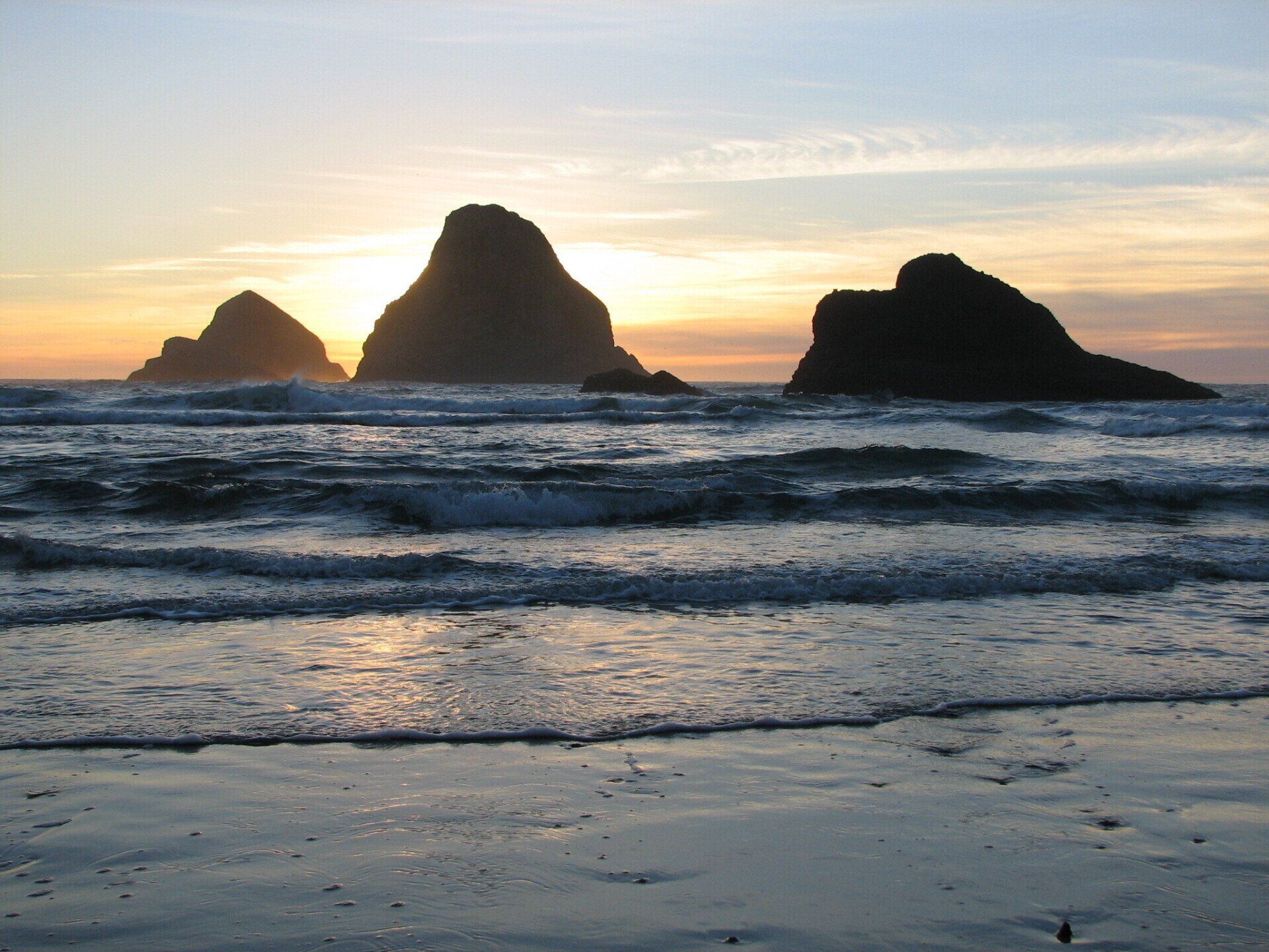 Welcome to WEBS - Friends of Netarts Bay Watershed, Estuary, Beach & Sea