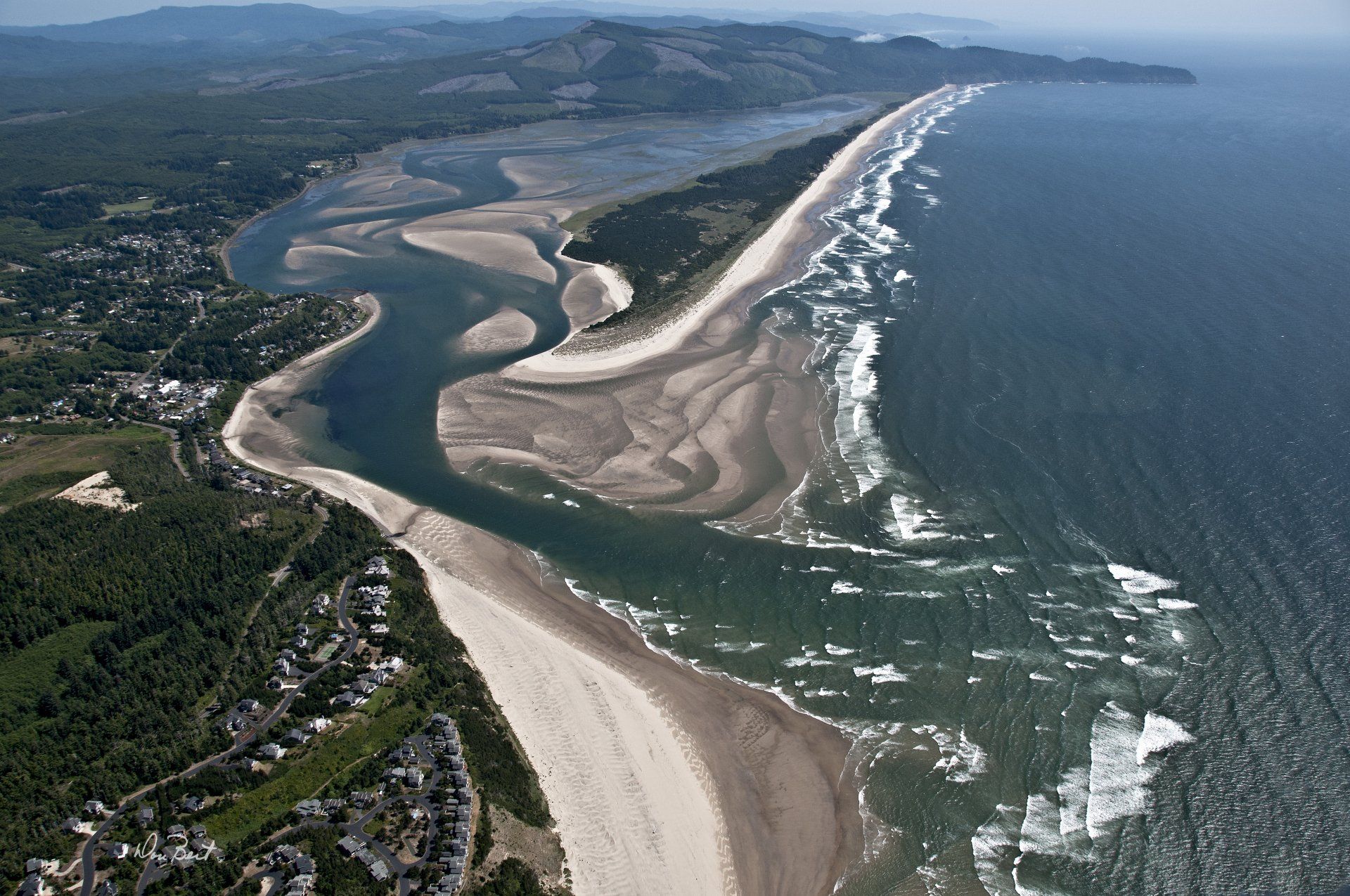 Welcome to WEBS - Friends of Netarts Bay Watershed, Estuary, Beach & Sea