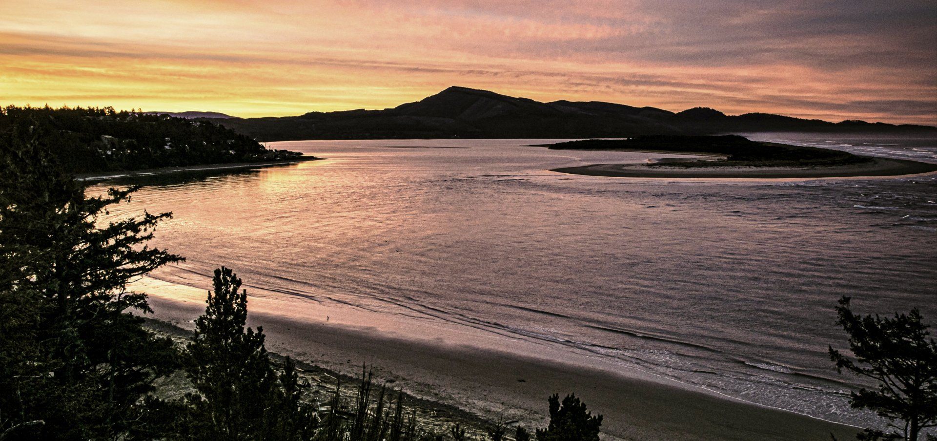 Welcome to WEBS - Friends of Netarts Bay Watershed, Estuary, Beach & Sea