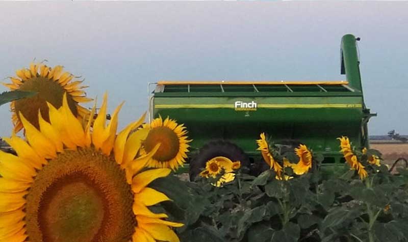 Finch Engineering Product Gallery