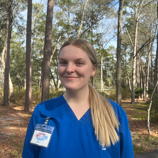 Insured House Cleaners | Summerville, SC | A Step Above