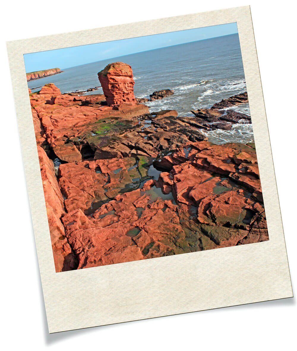 Beach Side Seafood Restaurant – Arbroath | Old Boatyard