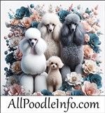 Poodle Barking | Toy, Mini and Standard