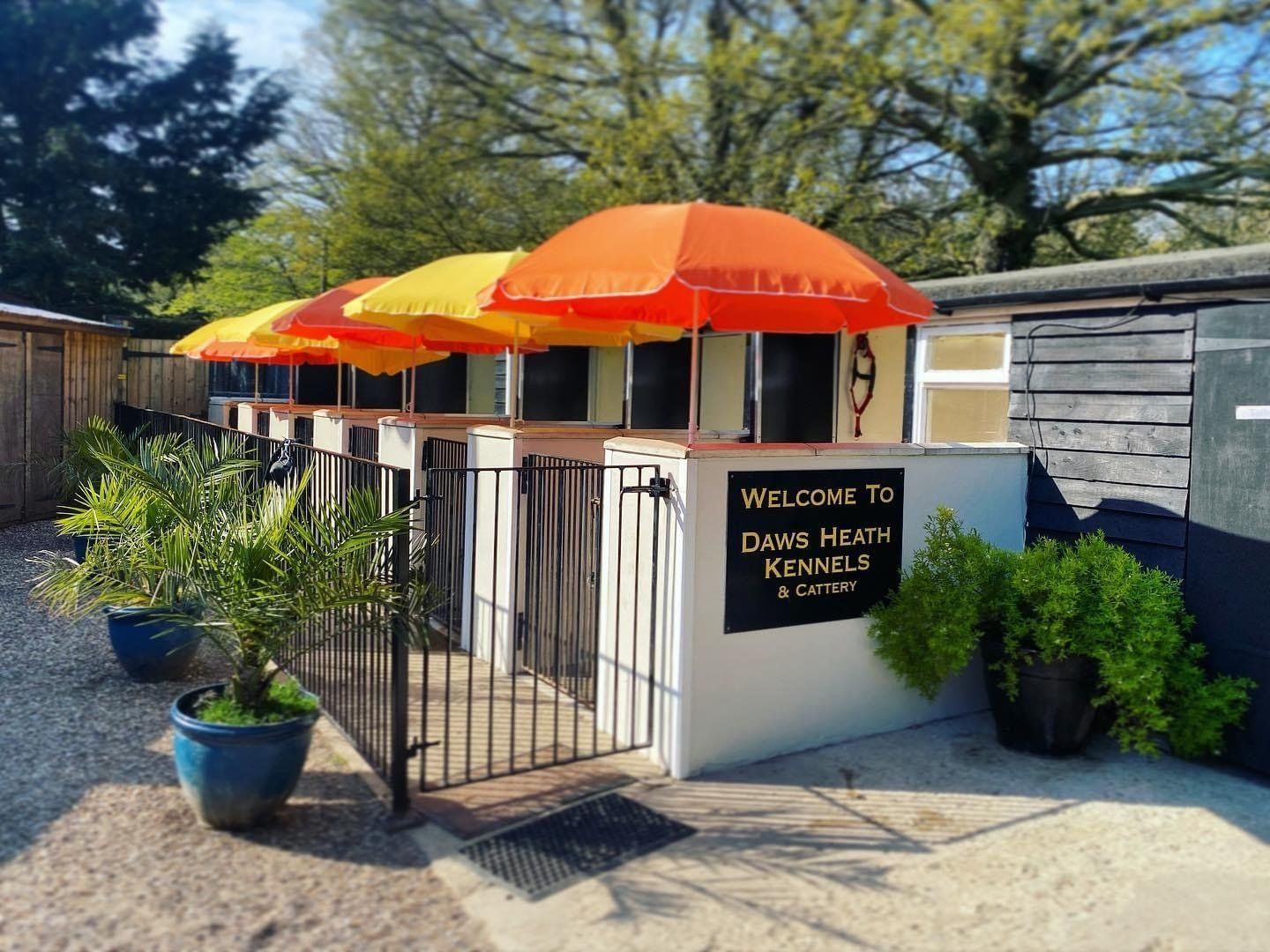 Kennel and cattery - Daws Heath Kennels and Cattery