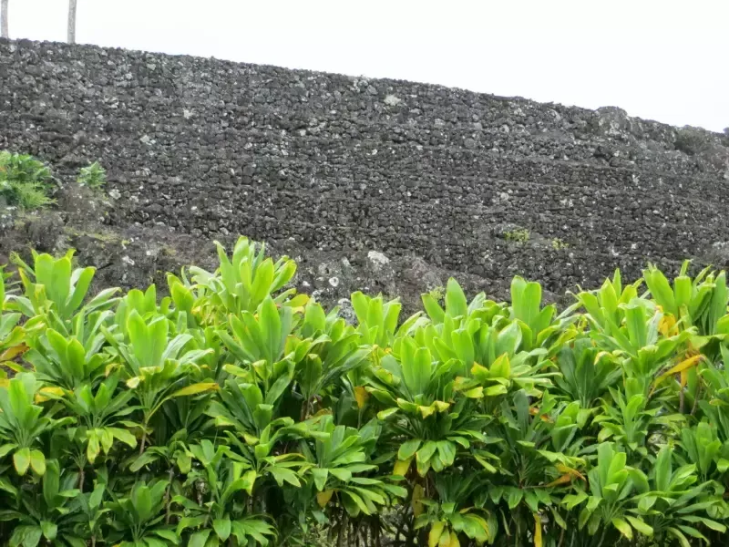 Menehune Hawaii: Ancient Mysteries of the Little People