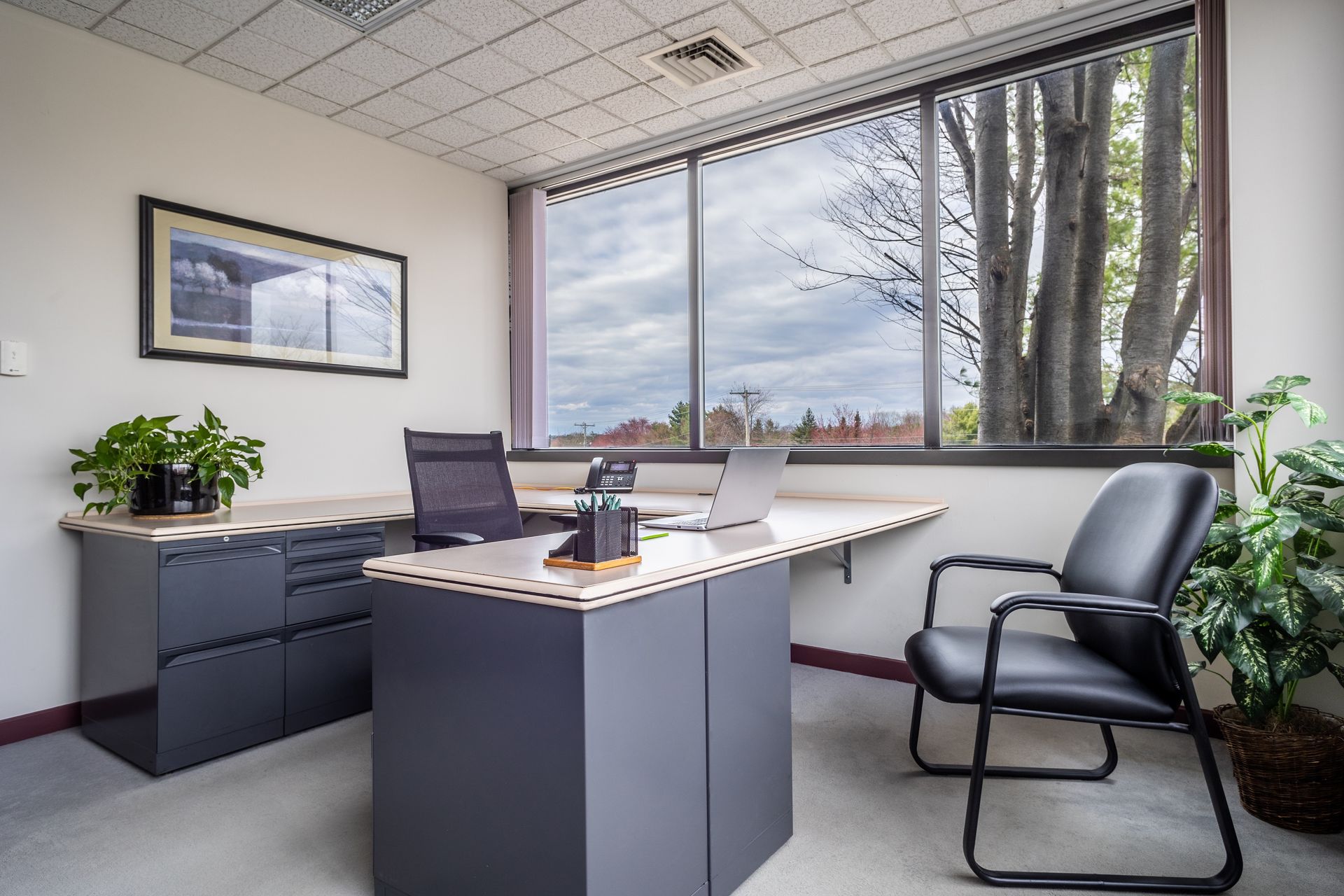 The Continued Evolution of Office Spaces
