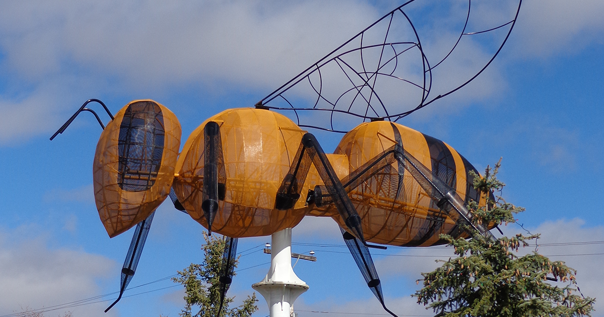 Stories of Alberta: Falher’s Honeybees